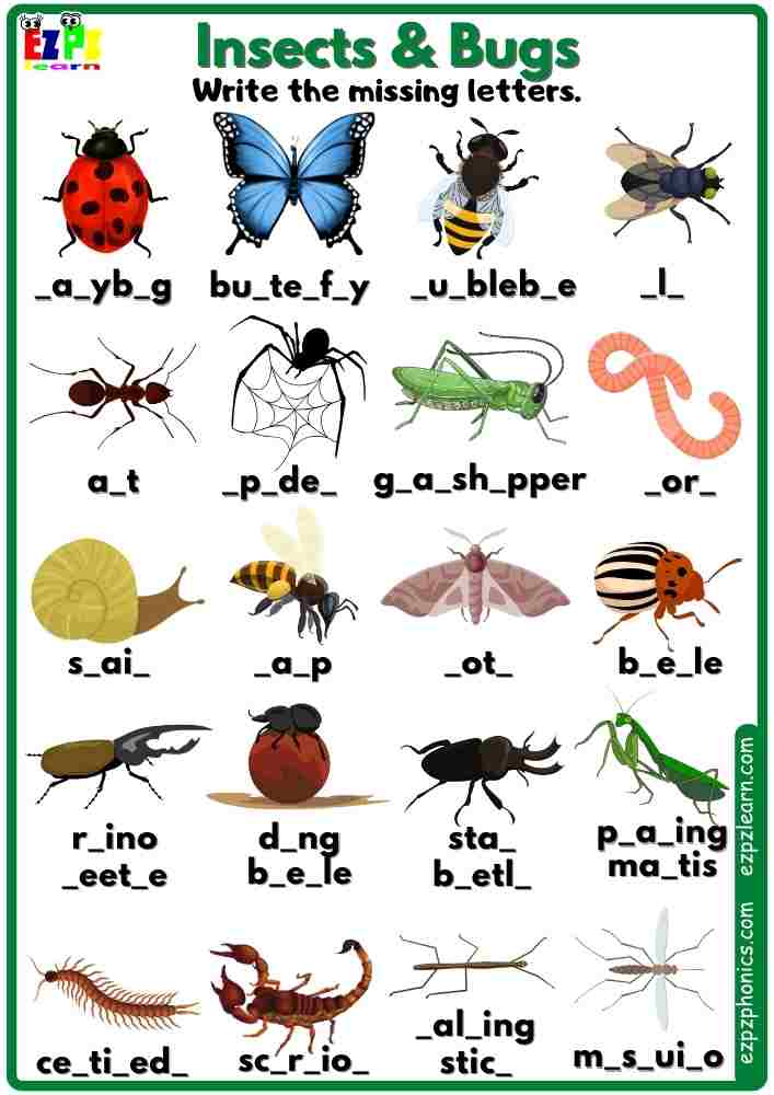 Insects and Bugs Vocabulary Write the Missing Letters Worksheet - Ezpzlearn.com